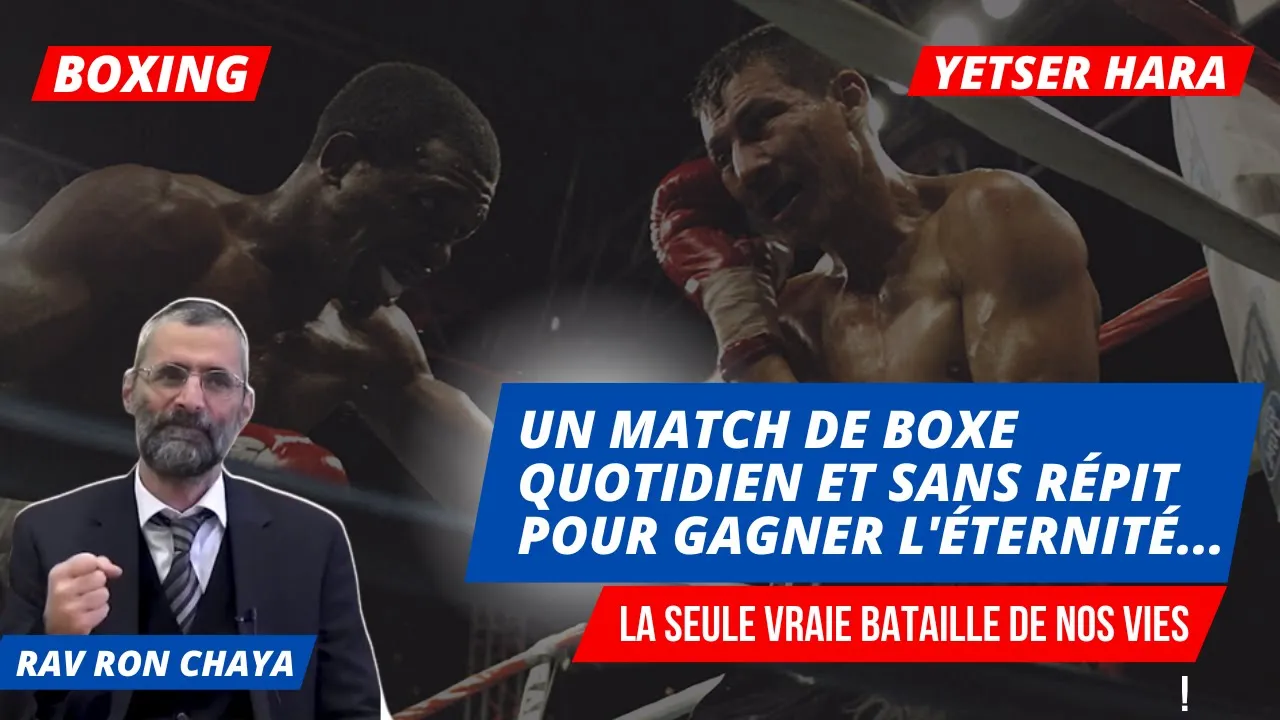 Un MATCH DE BOXE quotidien et sans répit pour gagner l'ÉTERNITÉ: La ...