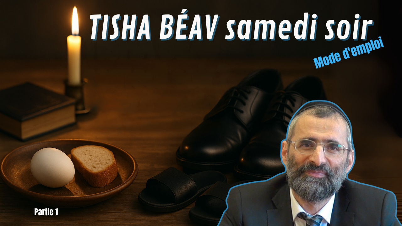 TISHA BÉAV samedi soir ? mode d’emploi ! (Partie 1) - Myleava.fr
